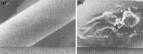 Biodegradation Studies of Textiles and Clothing Products | SpringerLink