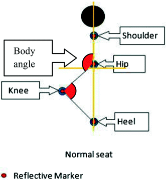 The Relationship Between Rider’s Body Posture and Horse Speed During ...