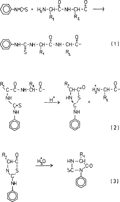 Manual Edman Degradation of Proteins and Peptides | SpringerLink