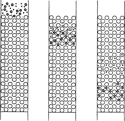 Gel-Filtration Chromotography | SpringerLink