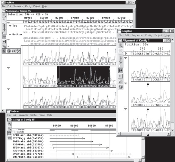 DNASTAR’s Lasergene Sequence Analysis Software | SpringerLink