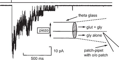 Single-Channel Recording | SpringerLink