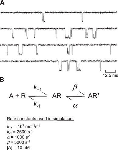 Single-Channel Recording | SpringerLink