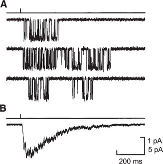 Single-Channel Recording | SpringerLink