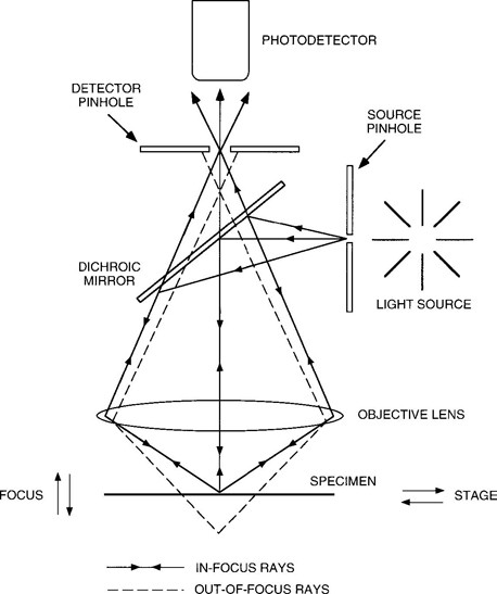 An Introduction to Confocal Imaging | SpringerLink