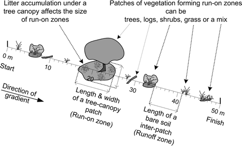 Landscape Function Analysis: An Overview and Landscape Organization ...