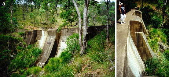 Arch Dams, Development from Cut-Stone Arches to Modern Design ...