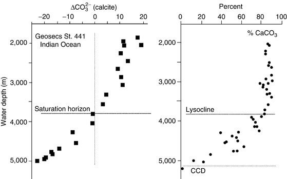 Carbonate Compensation Depth | SpringerLink