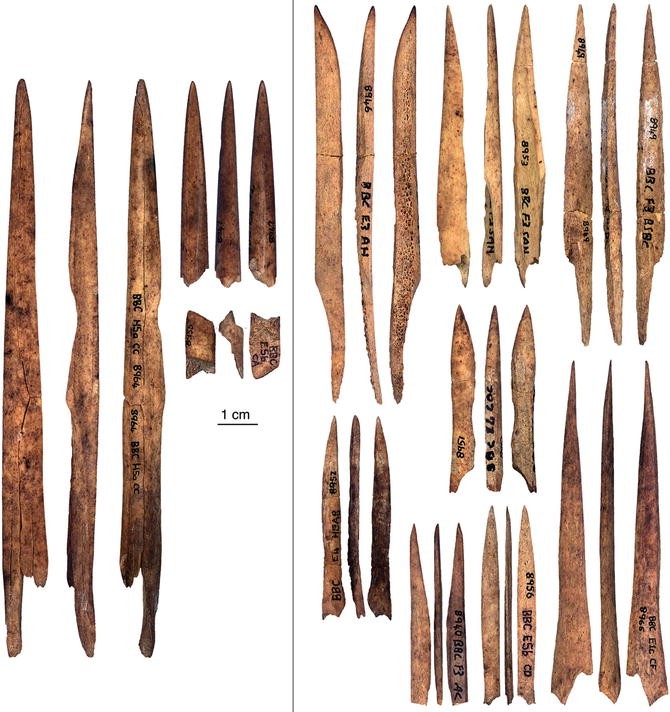 Bone Tools, Paleolithic | SpringerLink