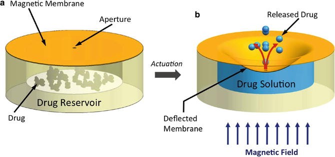 Reservoir-Based MEMS Drug Delivery System | SpringerLink