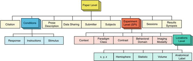 BrainMap | SpringerLink