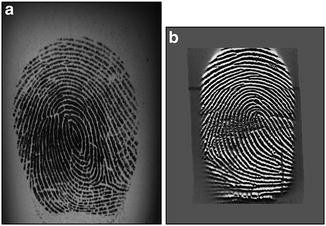 Fingerprint Recognition, Overview | SpringerLink