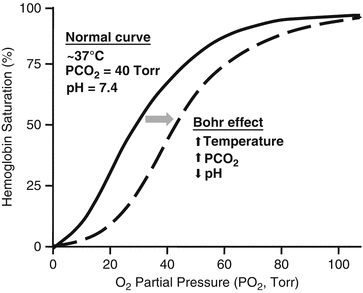 Oxygen Partial Pressure (PO2), in Heavy Exercise | SpringerLink
