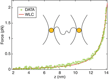 Worm-Like Chain (WLC) Model | SpringerLink
