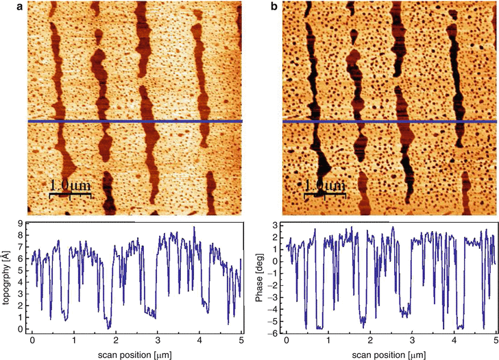 AFM, Tapping Mode | SpringerLink
