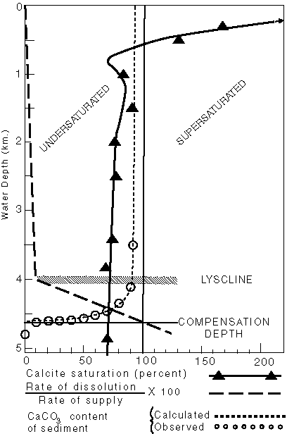 Calcite compensation depth | SpringerLink