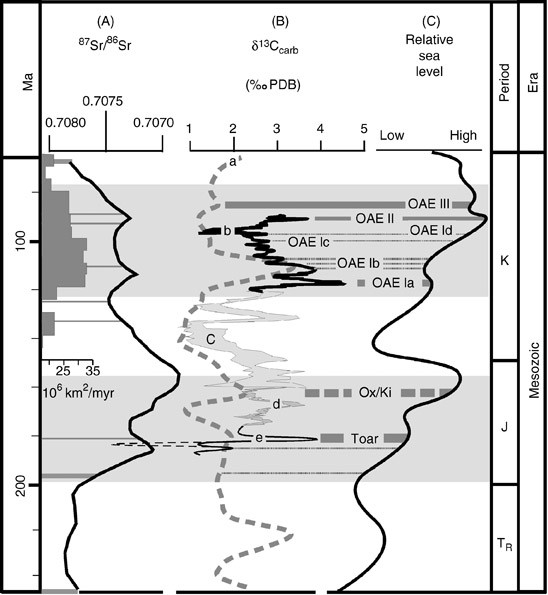 Ocean Anoxic Events | SpringerLink