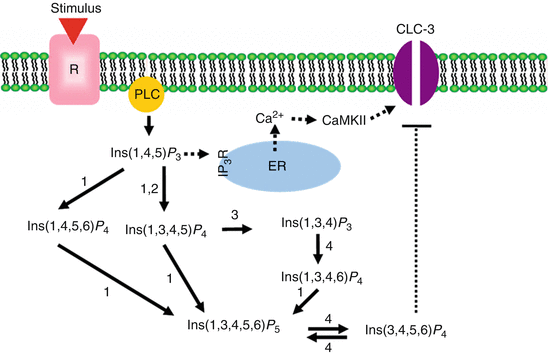 ITPK1 (Inositol 1,3,4-Triphosphate 5/6 Kinase) | SpringerLink