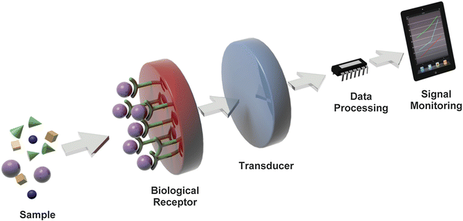 Biosensor | SpringerLink