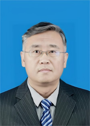 Outstanding Reviewer Award | Human-Centric Intelligent Systems