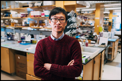 Biological Physics Seminars | Journal of Biological Physics