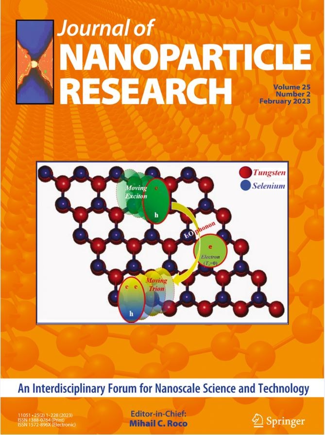 Journal of Nanoparticle Research's Gallery of Covers | Journal of ...