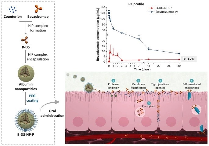Featured Article: May 2024 | Drug Delivery and Translational Research ...