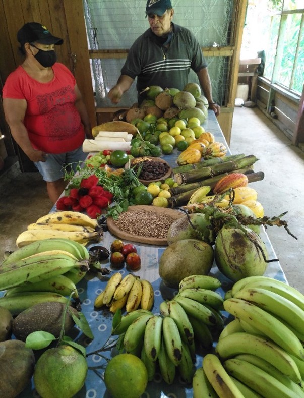 Call For Papers: Indigenous Agroforestry | Agroforestry Systems ...