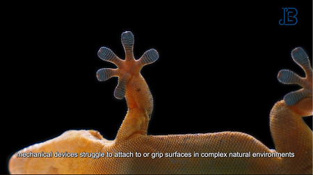 Video Abstract Gallery | Journal of Bionic Engineering