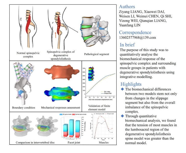 Editor's Choice Articles | Medical & Biological Engineering & Computing