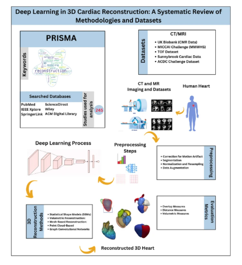 Editor's Choice Articles | Medical & Biological Engineering & Computing