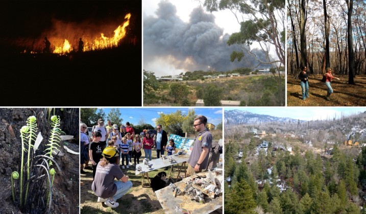 Fire Social Science | Fire Ecology
