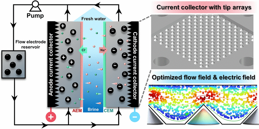 Locally Enhanced Flow and Electric Fields Through a Tip Effect for ...