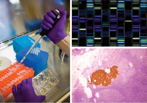 Journal of Experimental & Clinical Cancer Research | Home page