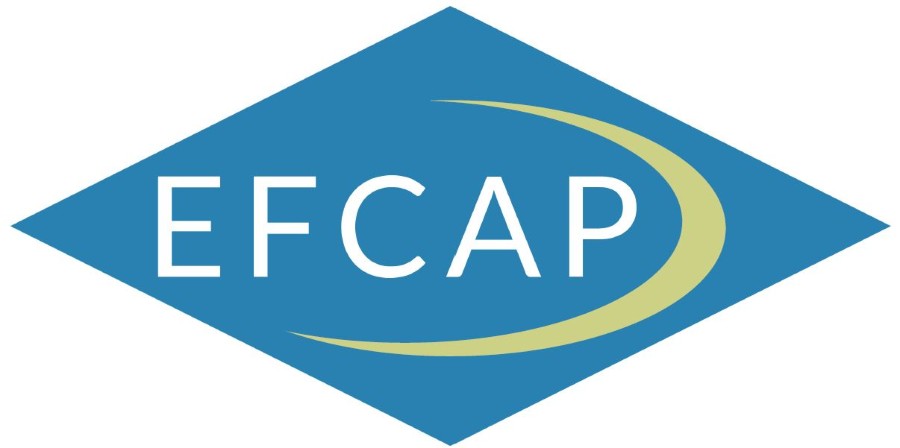 Copyright | Child and Adolescent Psychiatry and Mental Health