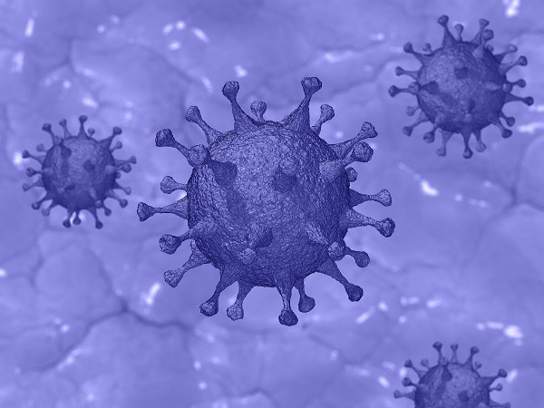 Home page | Virology Journal