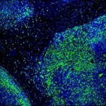 Home page | BMC Methods