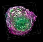 Home page | BMC Methods