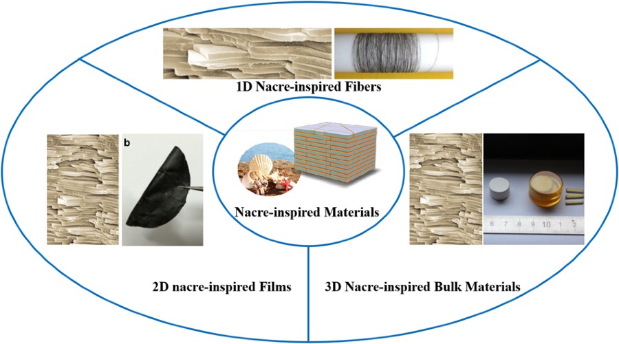 Nacre-inspired composites with different macroscopic dimensions ...