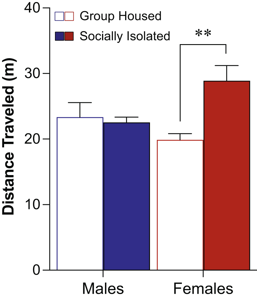 Examining the impact of adolescent social isolation on oxycodone ...