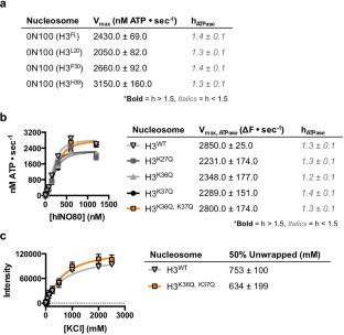 Structure and regulation of the human INO80–nucleosome complex | Nature