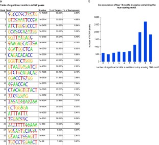 Activity-dependent neuroprotective protein recruits HP1 and CHD4 to ...
