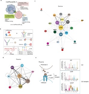 Single-cell reconstruction of the early maternal–fetal interface in ...