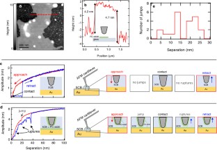 Measurement of the Casimir torque | Nature