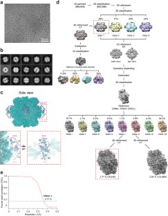 Rubisco condensate formation by CcmM in β-carboxysome biogenesis | Nature