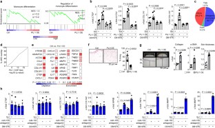PU.1 controls fibroblast polarization and tissue fibrosis | Nature