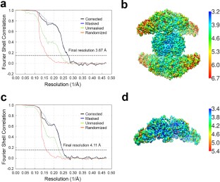 An allosteric mechanism for potent inhibition of human ATP-citrate ...