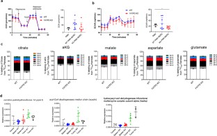 Fatty acid transport protein 2 reprograms neutrophils in cancer | Nature