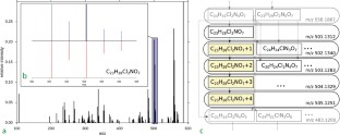 SIRIUS 4: a rapid tool for turning tandem mass spectra into metabolite ...
