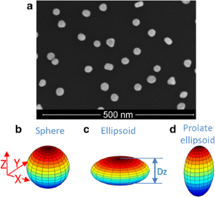 Volume determination of irregularly-shaped quasi-spherical ...